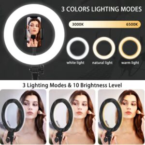 Desktop Ring Light for Zoom Meetings - 10.5'' Computer Ring Lights with Stand and Phone Holder, Laptop Ring Light for Video Conference/Online Video Call/Make up/Video Recording/Webcam/Live Streaming