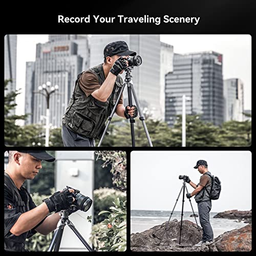 SmallRig Lightweight Travel Tripod AP-01 with Compact Structure, 360° Ball Head, Quick Release Plate, Travel Bag, Load up to 33 lbs/15 kg, for Canon for Nikon for Sony for DSLR-3987