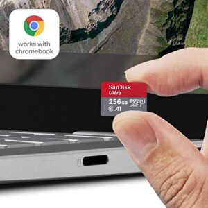 SanDisk 64GB Ultra microSD UHS-I Card for Chromebooks - Certified Works with Chromebooks - SDSQUA4-064G-GN6FA