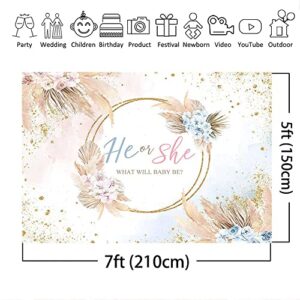 Mocsicka Boho Gender Reveal Backdrop He or She Boho Flowers Baby Shower Background Vinyl Bohemian Pampas Grass Party Cake Table Decorations Photo Booth (7x5ft)