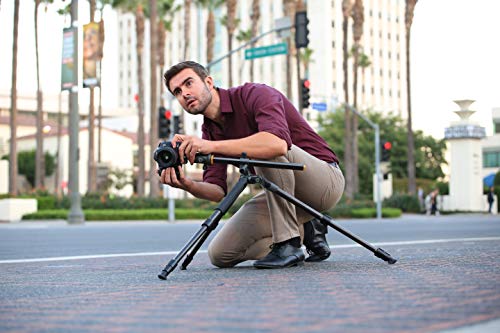 Vanguard Alta Pro 2+ 263AB 100 Aluminum Tripod with Alta BH-100 Ball Head and Multi-Angle Center Column for Sony, Nikon, Canon DSLR Cameras