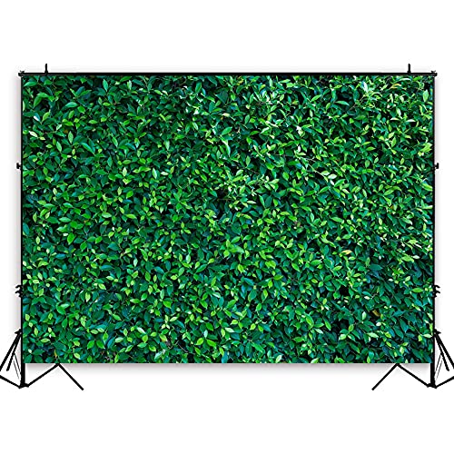 Holiyjog 7x5FT Green Leaves Photography Backdrops Microfiber Nature Backdrop Birthday Background for Birthday Party Seamless Photo Booth Prop Backdrop Gift (7x5FT,01)