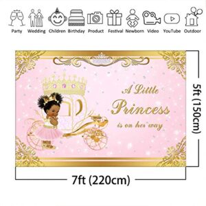 Mocsicka Gold Princess Backdrop Pink Little Princess is On The Way Baby Shower Photography Background Vinyl Glitter Gold Princess Carriage Geometrical Decoration Newborn Props (7x5ft)