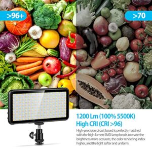 ENEGON 4000mAh Rechargeable Mountable Bicolor LED Video Light with Mini Panel for Professional DSLR Cameras | Photo Video Lighting Long Battery Life | Fits iPhone, Sony, Canon, Nikon, Fuji, Panasonic