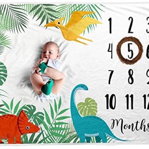 Baby Monthly Milestone Blanket | Includes Frame for The Numbers and Bonus Product | 1 to 12 Months | Premium Extra Soft Fleece | Best Photography Backdrop Prop for Newborn Boy & Girl