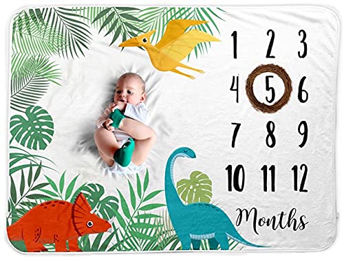 Baby Monthly Milestone Blanket | Includes Frame for The Numbers and Bonus Product | 1 to 12 Months | Premium Extra Soft Fleece | Best Photography Backdrop Prop for Newborn Boy & Girl