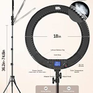 Pixel 18" Ring Light with Stand and Wireless Remote, Light Ring with iPad Holder/Phone Holder/Selfie Remote/Carrying Bag, 60W 3000-5800K CRI≥97 Circle Light for YouTube, TikTok, Self-Portrait