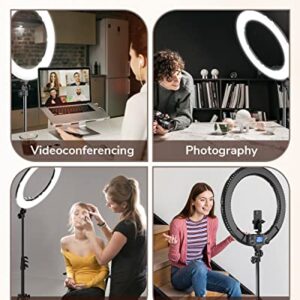 Pixel 18" Ring Light with Stand and Wireless Remote, Light Ring with iPad Holder/Phone Holder/Selfie Remote/Carrying Bag, 60W 3000-5800K CRI≥97 Circle Light for YouTube, TikTok, Self-Portrait