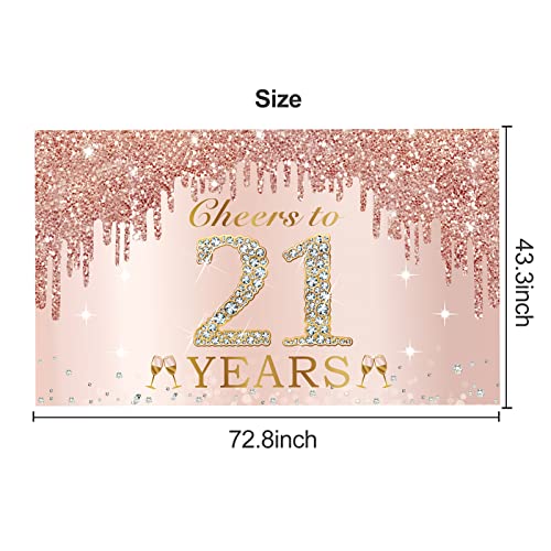 Large Cheers to 21 Years Birthday Decorations for Women, Pink Rose Gold Happy 21st Birthday Banner Backdrop Party Supplies, 21 Year Old Birthday Poster Background Sign Decor