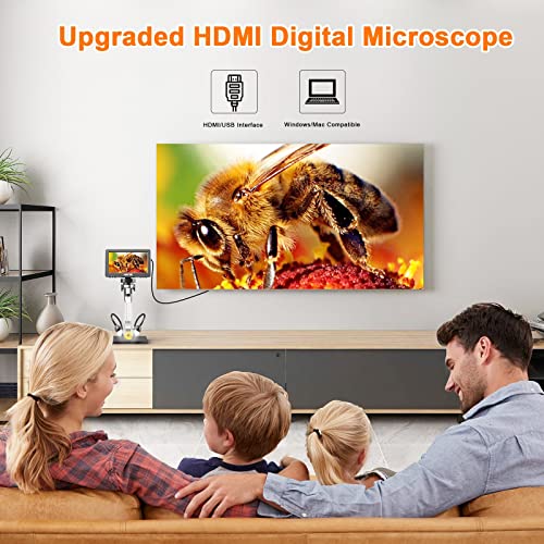 Hayve 7'' HDMI Digital Microscope,1200X Coin Microscope with IPS Screen, 16MP Soldering Microscope with Lights, 8.5'' Long Stand, View Entire Coin, Compatible with PC/TV, 32GB Card