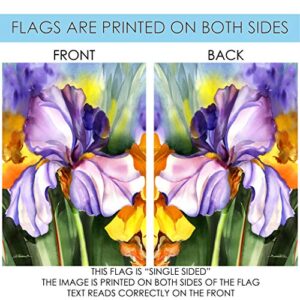 Toland Home Garden 109596 Iris Field Spring Flag 28x40 Inch Double Sided Spring Garden Flag for Outdoor House Flower Flag Yard Decoration