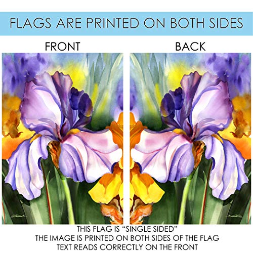 Toland Home Garden 109596 Iris Field Spring Flag 28x40 Inch Double Sided Spring Garden Flag for Outdoor House Flower Flag Yard Decoration