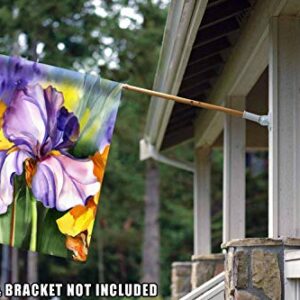 Toland Home Garden 109596 Iris Field Spring Flag 28x40 Inch Double Sided Spring Garden Flag for Outdoor House Flower Flag Yard Decoration