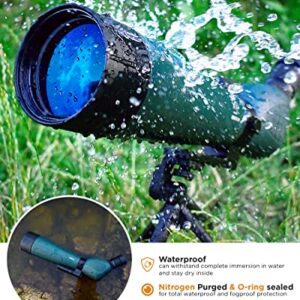 CREATIVE XP Spotting Scopes - 20x60 80mm HD Spotter Scope for Hunting, Target Shooting, Bird Watching, Astronomy - IP67 Waterproof Spotting Scope w/Photo Clicker, Tripod & Phone Adapter, Green