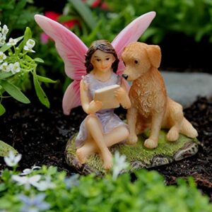 PRETMANNS Fairy Garden Fairies - Fairy Garden Accessories - Fairies for Fairy Garden Outdoor - Garden Fairy Figurine Sofia with Dog for Miniature Garden - 1 Item