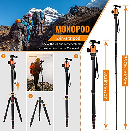 VICTIV 80" Camera Tripod, DSLR Tripod for Travel, Aluminum Heavy Duty Tripod Stand with 360° Ball Head, Camera Tripods & Monopods with Carry Bag, Professional Tripod for Canon Nikon -AT40 Orange