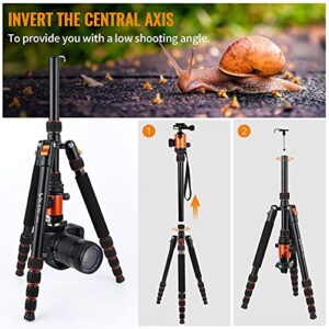 VICTIV 80" Camera Tripod, DSLR Tripod for Travel, Aluminum Heavy Duty Tripod Stand with 360° Ball Head, Camera Tripods & Monopods with Carry Bag, Professional Tripod for Canon Nikon -AT40 Orange