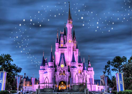 Castle Backdrop 7x5ft Beautiful Castle Night View Photography Background for Children and Girl Birthday Party Photo Video Shooting Props BV037