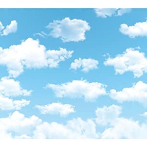 Allenjoy 7x5ft Vinyl Blue Sky White Cloud Backdrop - Not Fabric - Ideal for Newborn, Spring, Kids, Children, Aviator, Birthday Party, Baby Shower, World Travel Background