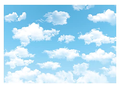 Allenjoy 7x5ft Vinyl Blue Sky White Cloud Backdrop - Not Fabric - Ideal for Newborn, Spring, Kids, Children, Aviator, Birthday Party, Baby Shower, World Travel Background