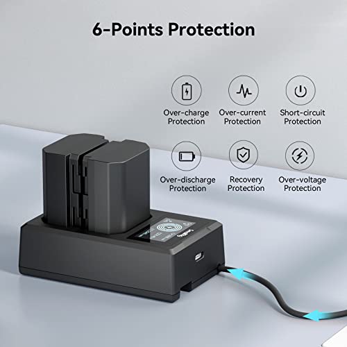 SmallRig NP-FZ100 Battery Charger Set for Sony NP-FZ100 Battery, Double Slot NP-FZ100 Charger for Sony Alpha A7R V, A7 IV, A7 III, A7S III, FX3, A7C, A7R IV, A7R III, A6600, A9 II, 2040mAh - 3824