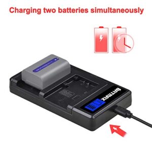 Batmax 2 Pack 1250mAh NP-FP50 Battery + USB LCD Dual Charger for Sony NP-FP30 NP-FP60 NP-FP70 NP-FP71 Battery and Sony DCR-DVD103 DVD105 DVD202E DVD203 DVD205 DVD305 DVD92