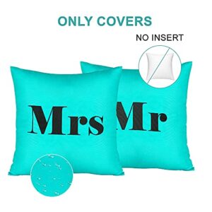 Aimou Outdoor Pillow Covers, 18x18 Inch Set of 2 Waterproof Patio Throw Pillow Covers, Decorative Pillowcase Square Cushion Case Covers for Patio Furniture, Garden, Balcony, Farmhouse - Light Blue