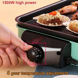 Indoor Barbecue Griddle with Non-Stick Coating Grill Plate，1500W Adjustable Temperature Control Mini Portable Barbecue Grill for 3-10 Persons， for Outdoor Picnic and Home Garden Camping Useful