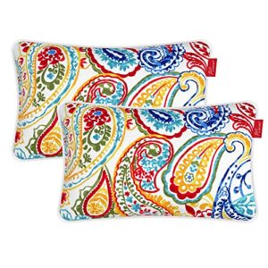 Pcinfuns Outdoor Lumbar Pillow Covers,Patio Garden Decorative Pillow Cover,Fade-Resistant Pillowcase 12x20 Inch for Outdoor Home Patio Coach Sofa,Paisley Multi,Pack of 2