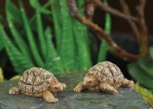 the fiddlehead fairy garden tortoise pair miniature fairy garden accessories #16868