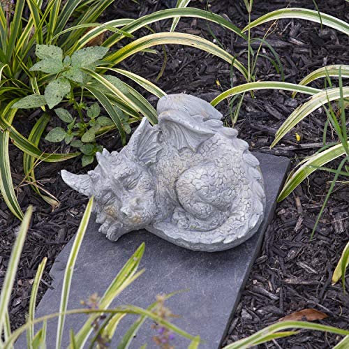 Besti Decorative Outdoor Dragon Garden Statue - Cold Cast Ceramic Statue | Lawn and Yard Decoration | Weather-Resistant Finish