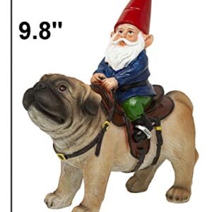 Funny Guy Mugs Garden Gnome Statue - Gnome Riding a Pug - Indoor/Outdoor Garden Gnome Sculpture for Patio, Yard or Lawn