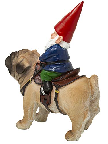 Funny Guy Mugs Garden Gnome Statue - Gnome Riding a Pug - Indoor/Outdoor Garden Gnome Sculpture for Patio, Yard or Lawn