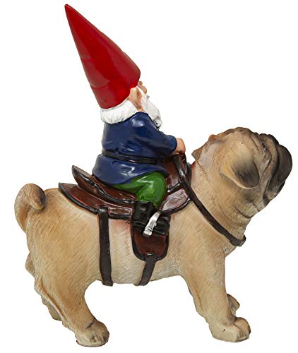 Funny Guy Mugs Garden Gnome Statue - Gnome Riding a Pug - Indoor/Outdoor Garden Gnome Sculpture for Patio, Yard or Lawn