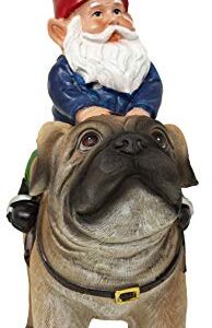 Funny Guy Mugs Garden Gnome Statue - Gnome Riding a Pug - Indoor/Outdoor Garden Gnome Sculpture for Patio, Yard or Lawn