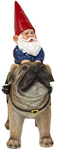 Funny Guy Mugs Garden Gnome Statue - Gnome Riding a Pug - Indoor/Outdoor Garden Gnome Sculpture for Patio, Yard or Lawn