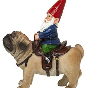 Funny Guy Mugs Garden Gnome Statue - Gnome Riding a Pug - Indoor/Outdoor Garden Gnome Sculpture for Patio, Yard or Lawn