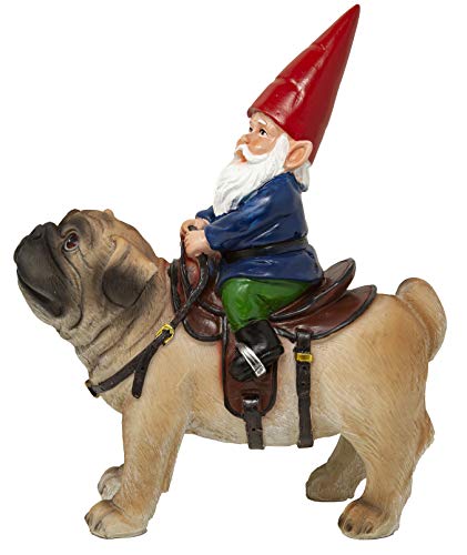 Funny Guy Mugs Garden Gnome Statue - Gnome Riding a Pug - Indoor/Outdoor Garden Gnome Sculpture for Patio, Yard or Lawn