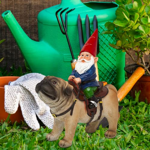 Funny Guy Mugs Garden Gnome Statue - Gnome Riding a Pug - Indoor/Outdoor Garden Gnome Sculpture for Patio, Yard or Lawn