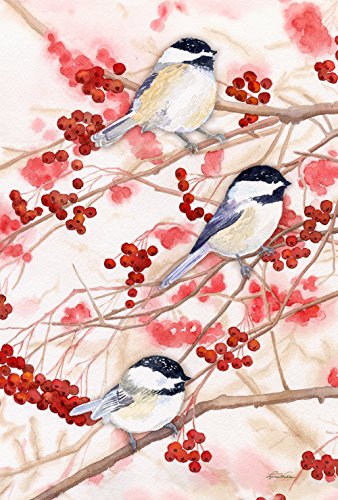 Toland Home Garden 1110443 Chickadees and Berries Spring Flag 12x18 Inch Double Sided Spring Garden Flag for Outdoor House Bird Flag Yard Decoration