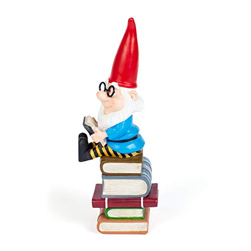 Dawn & Claire Gnorbert The Gnerdy Gnome A Garden Gnome with a Nose for The Books! (Mini - 6.3")