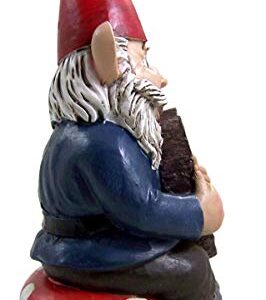 Forever Gnome Old Couple Small Indoor Outdoor Garden Figurine, 6 Inch