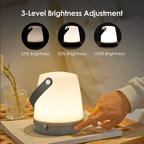 Pwysara LED Portable Lantern with USB Rechargeable Batteries, RGB Colour Changing with Dimmable Function, Suitable for Indoor and Outdoor Use