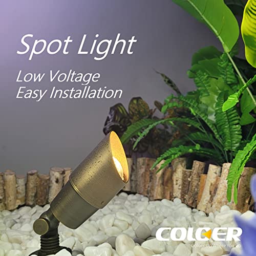 COLOER Die-cast Brass 12V LED Low Voltage Landscape Lighting Kit, IP65 Waterproof Outdoor Lights for Yard, Spot Light and Garden Path Lights Outside (4 Sootlight(101B)+2 Pathlight(603B) with Bulb)