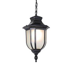 dahgeo outdoor pendant lights waterproof hanging lights fixture corridor courtyard decoration ceiling lamp aisle villa garden pavilion pendant lantern grape frame hanging lamp