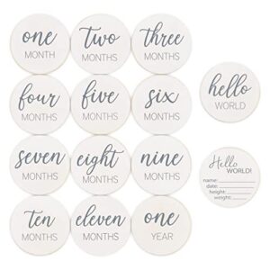 Natural Baby Milestone Discs - White Stain Wood Milestone Disc Set with Bag and Hello World Announcement Card - 13 Wooden Milestones Cards, Newborn Monthly First Year Picture Props, 1-12 Months