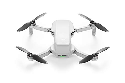 DJI Mavic Mini Combo - Drone FlyCam Quadcopter UAV with 2.7K Camera 3-Axis Gimbal GPS 30min Flight Time, less than 0.55lbs, Gray