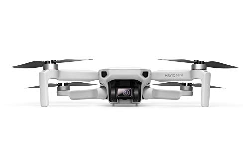 DJI Mavic Mini Combo - Drone FlyCam Quadcopter UAV with 2.7K Camera 3-Axis Gimbal GPS 30min Flight Time, less than 0.55lbs, Gray