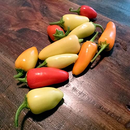 David's Garden Seeds Pepper Hot Santa Fe Grande FBA-00060 (Multi) 25 Non-GMO, Heirloom Seeds