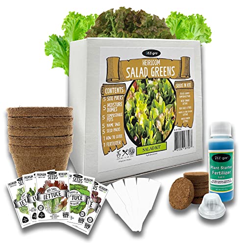 Heirloom Salad Greens Seed Starter Kit by EZ-gro | Our Indoor Vegetable Garden Kit Contains 5 Different Salad Seeds | Contains Everything an Indoor Vegetable Garden Kit Needs with Fertilizer